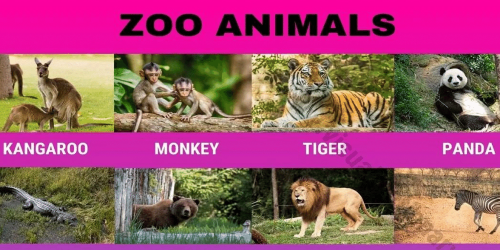 284 Amazing Zoo Animals You Should Know - English Saga