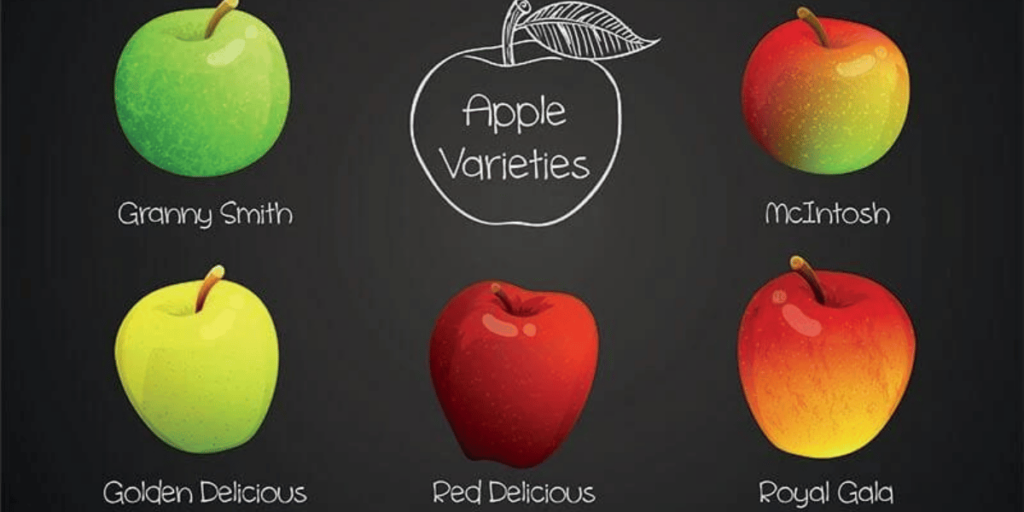 Exotic Birds | List of 25+ Exotic Birds and Fun Facts about Them ...