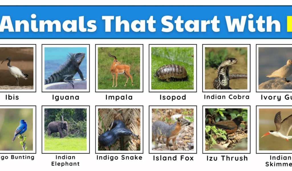 228 Animals that Start with L | List of Animals Beginning with L ...