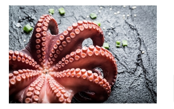 66 Yummy Foods that Start with O (with Pictures and Facts) - English Saga